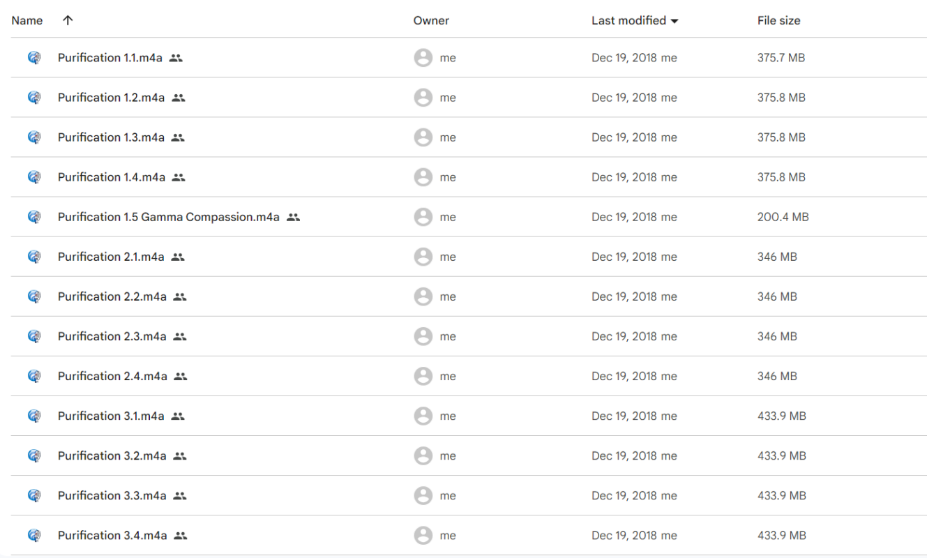 Holosync – Centerpointe – Full 12 Levels (Awakening + Flowering ...