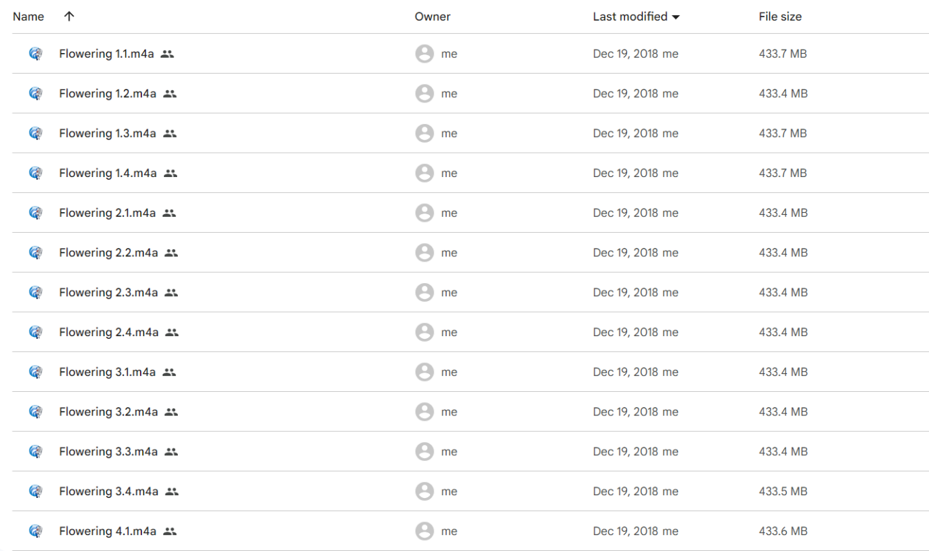 Holosync – Centerpointe – Full 12 Levels (Awakening + Flowering ...
