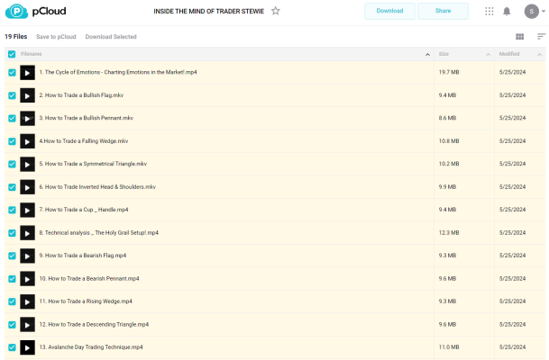 INSIDE THE MIND OF TRADER STEWIE | LOADCOURSE - Best Discount Trading ...
