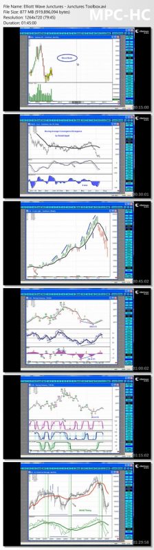 Elliott Wave Junctures - Trader's Classroom by Jeffrey Kennedy ...